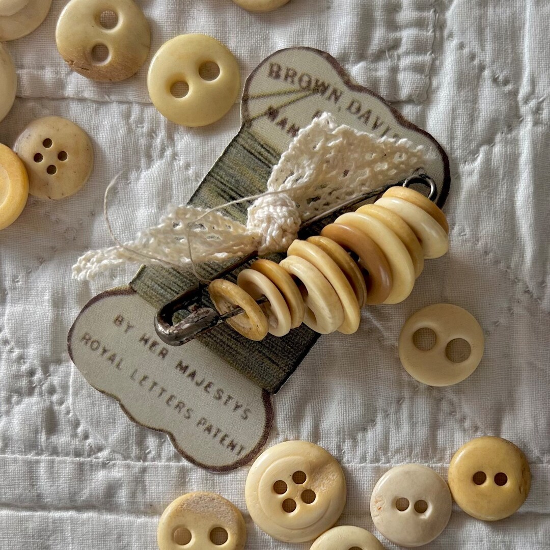 Set of 1860s Bovine Underwear Buttons - Etsy
