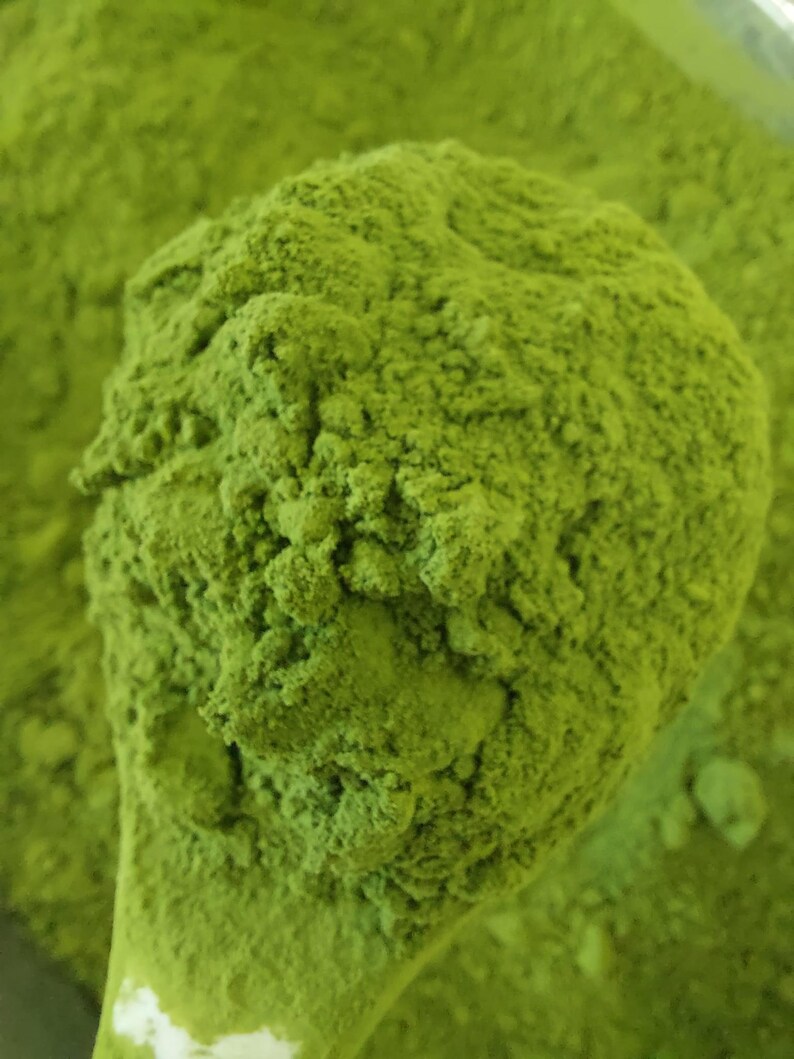 Wolffia Powder (duckweed) (mankai)– Plant-based Superfood Protein ...