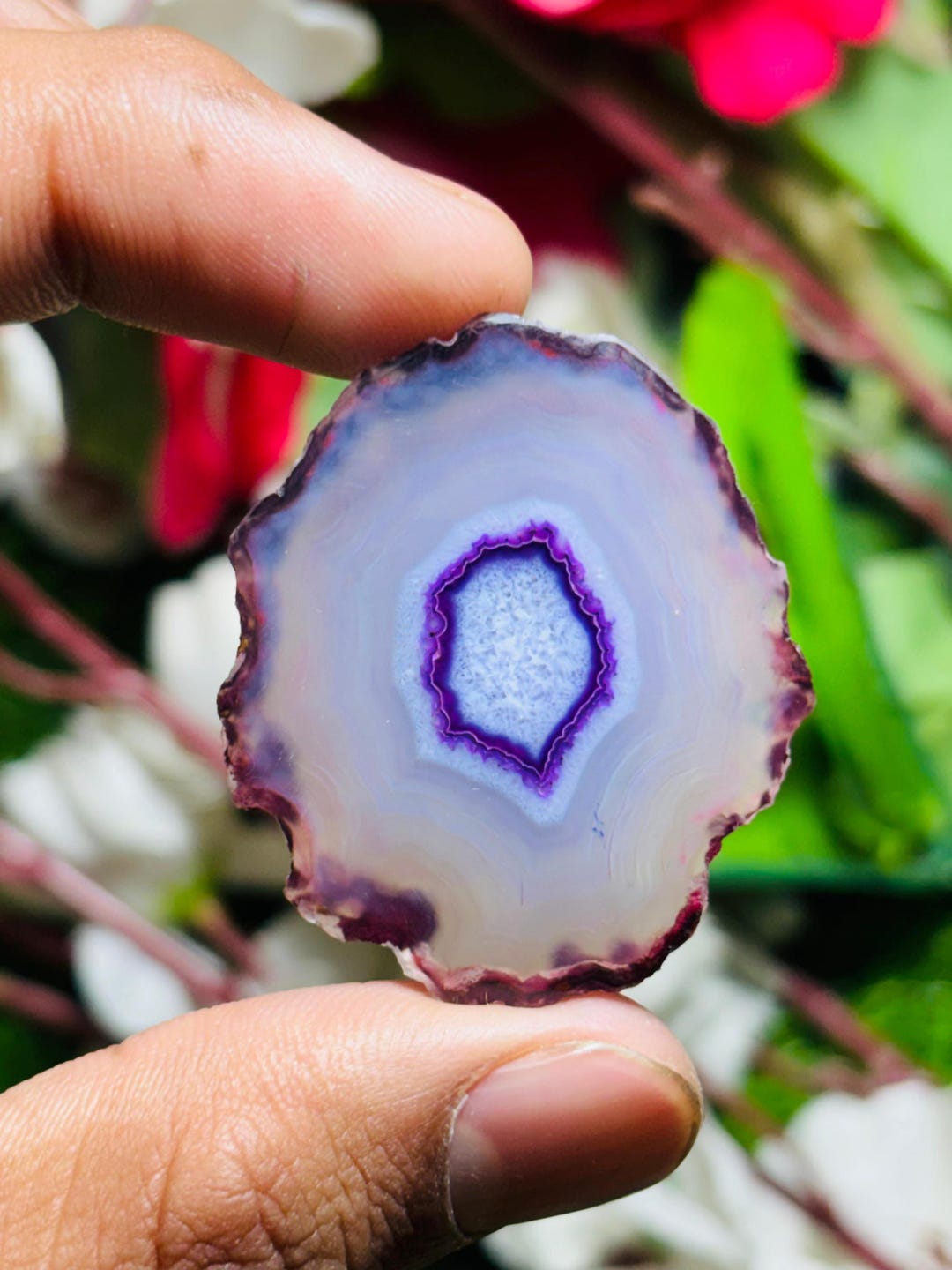 Natural Purple Geode Agate Slice – Polished Banded Agate With Druzy ...