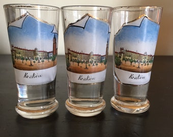 Poland Shot Glasses - Etsy