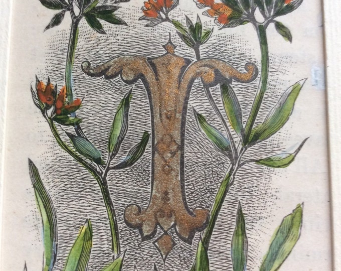 Original Hand Colored Engraving of Capital Letter T With Floral ...