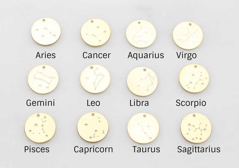 Dainty Zodiac Disc Sign Necklace Constellation Necklace | Etsy