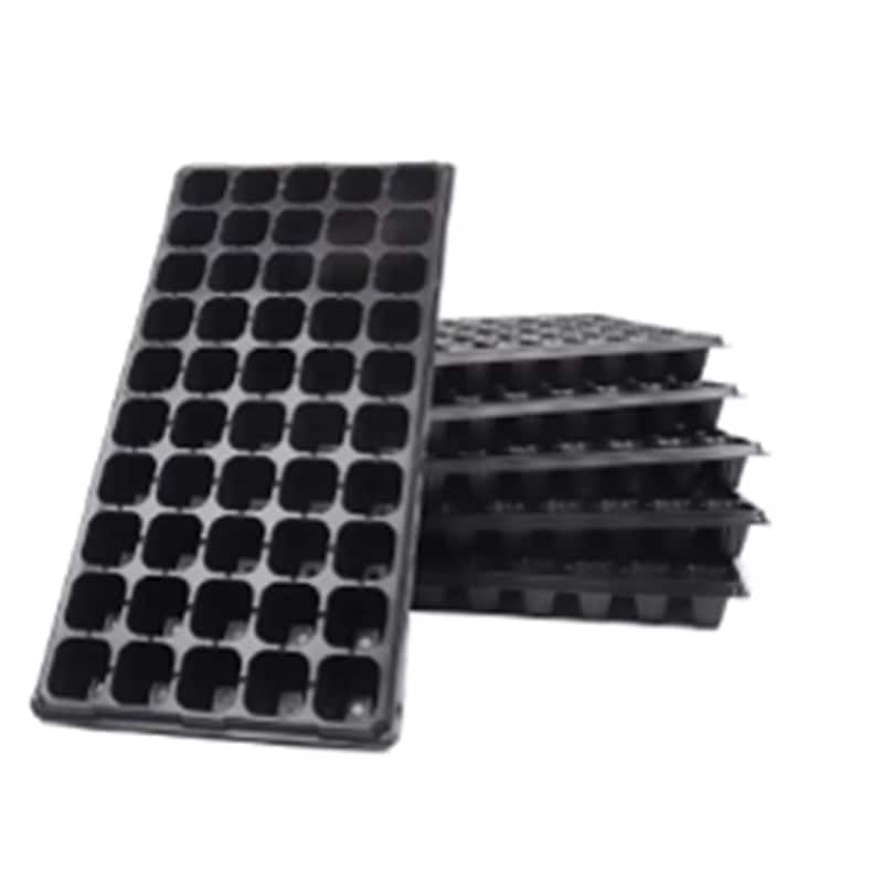 Cell Tray Plant - Etsy
