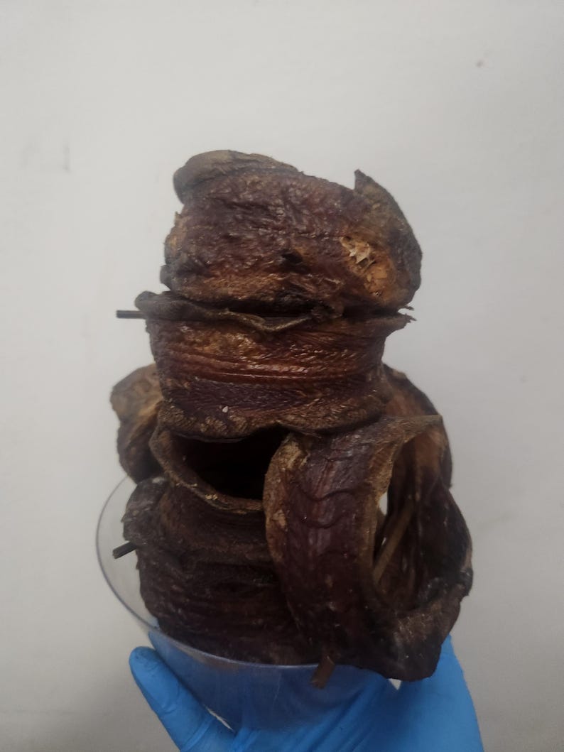 9 Pieces Smoked Dried Abo/ Sole Fish: Ready-to-use Nigerian Soup ...