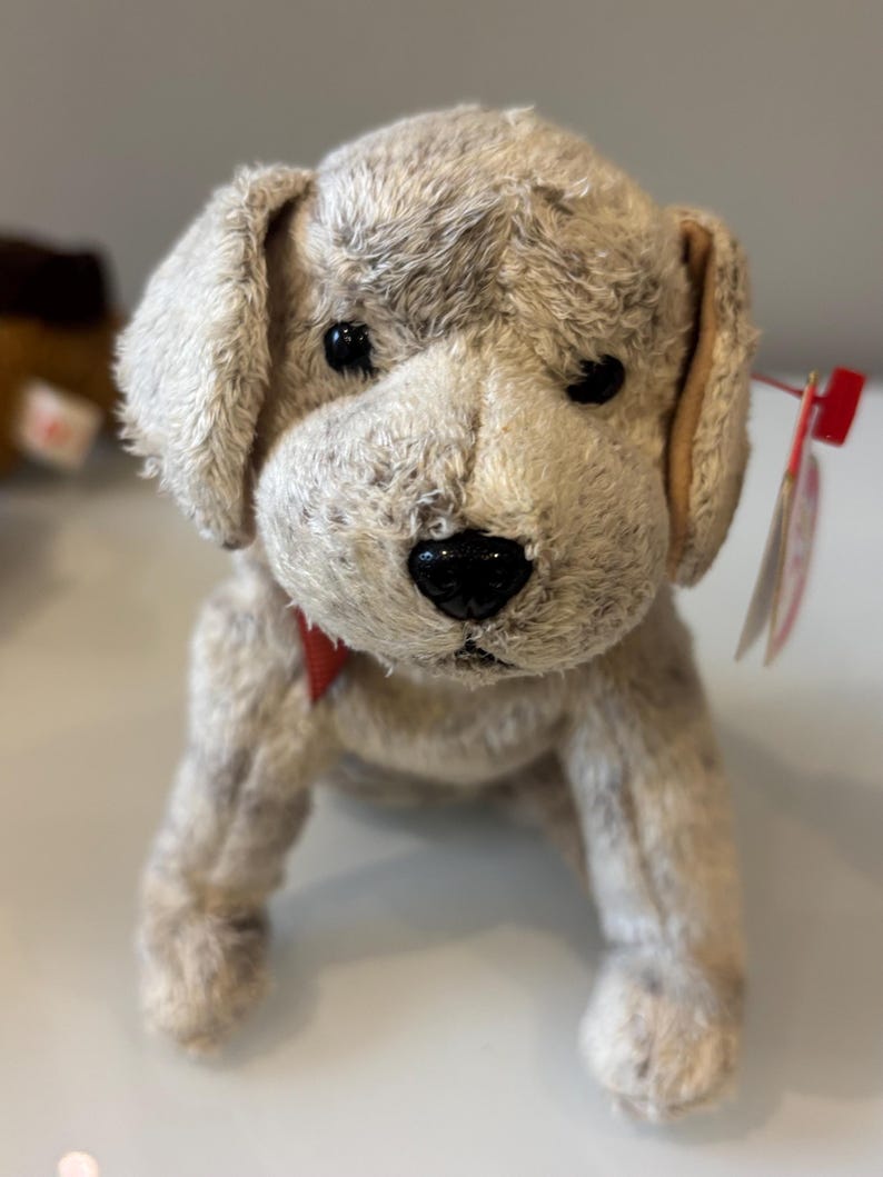Ty Beanie Babies DOGS : KIRBY Side-kick Tuffy Tricks Rufus Frisbee ...