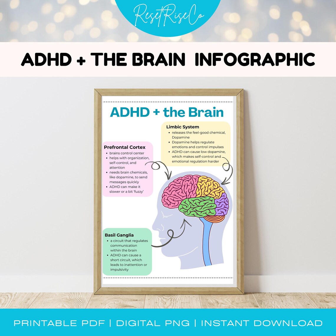 ADHD Brain Infographic Poster: Kid-friendly Executive Function ...