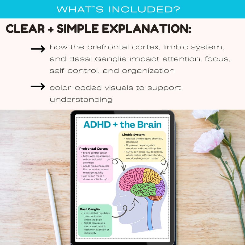 ADHD Brain Infographic Poster: Kid-friendly Executive Function ...
