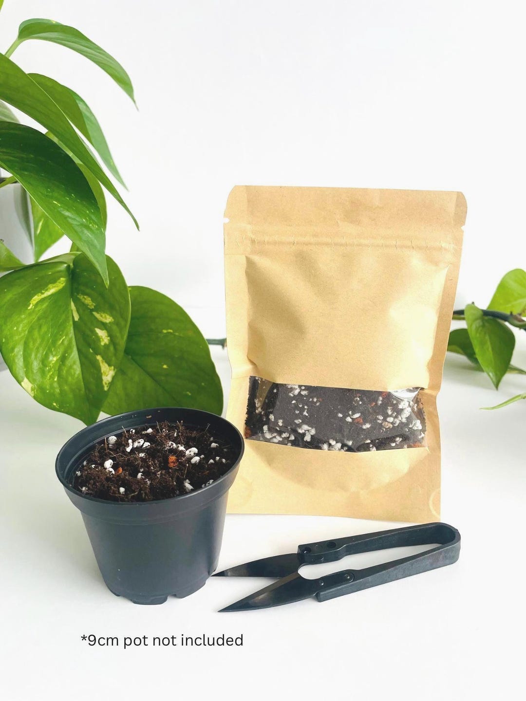 Propagation Starter Kit | Premium Potting Mix With Perlite, & Black ...