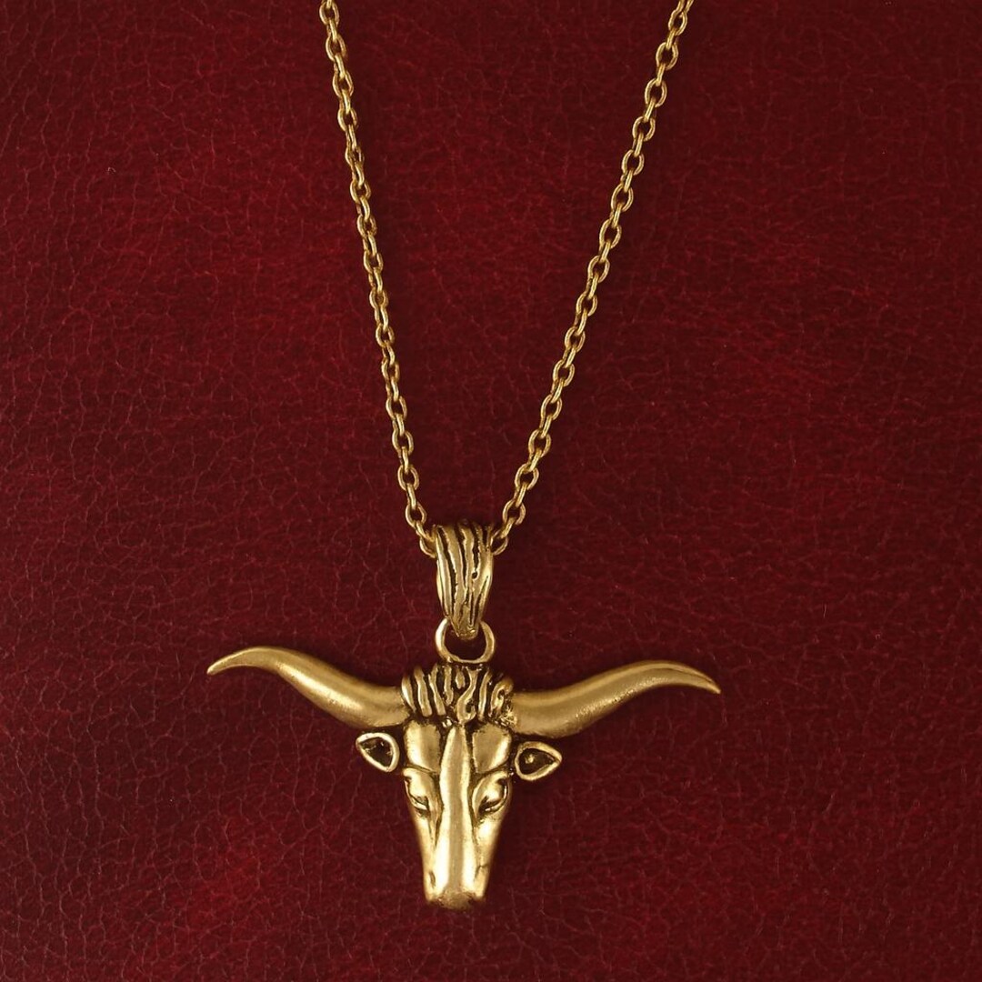 Brass Bull Head Pendant Necklace: Boho Western Longhorn Jewelry - Etsy