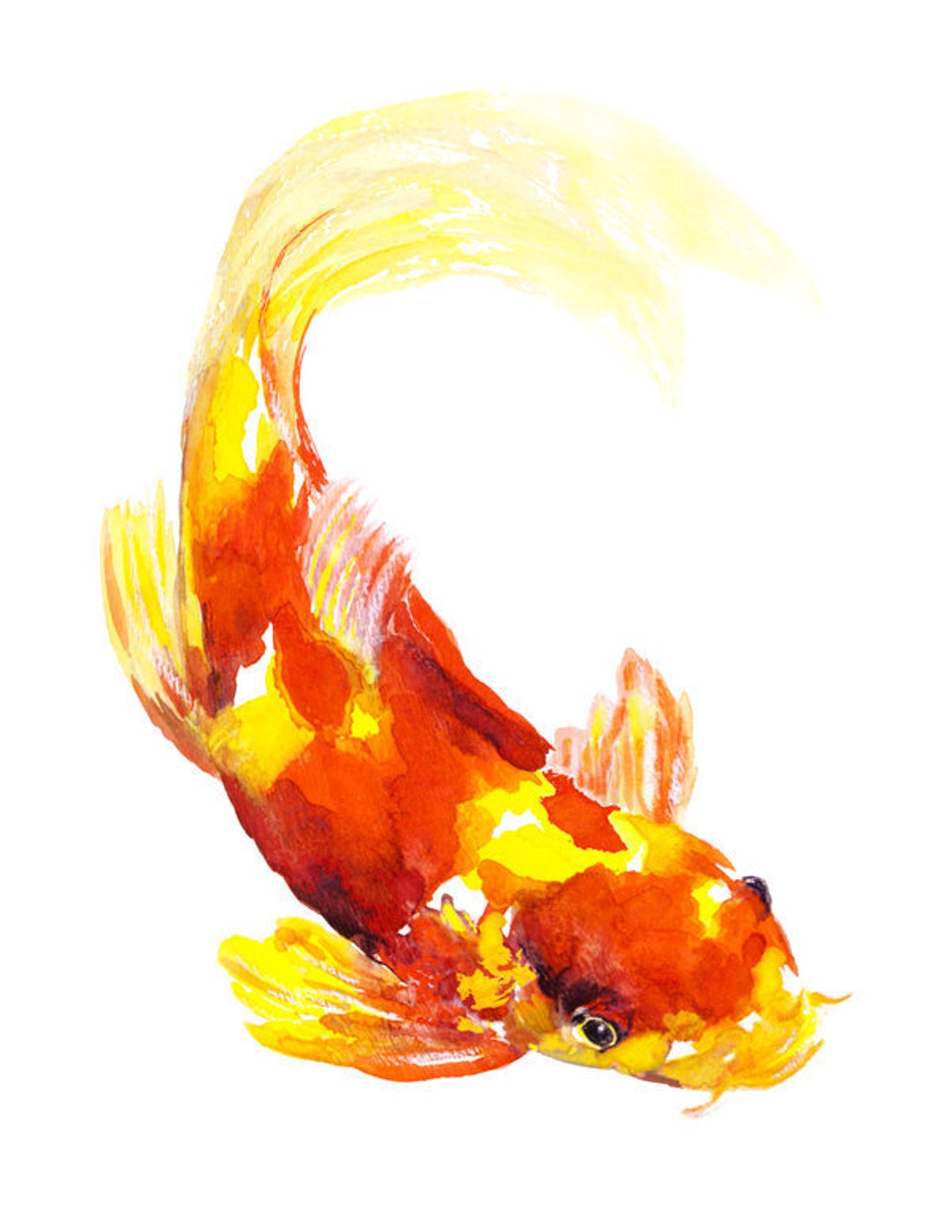 Orange & Yellow Koi Fish Watercolor Print Signed by Artist Stephanie ...