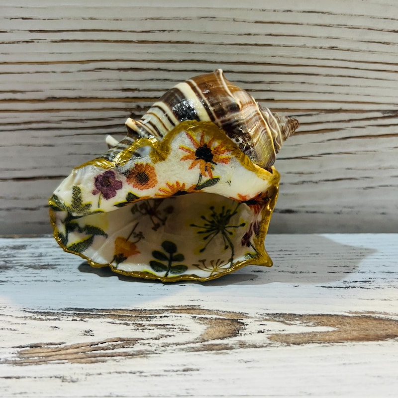 Decoupage Conch Shells - Etsy