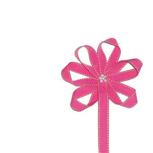 Ribbon / Fuchsia Pink / Apple Green ...10 Yards - Etsy