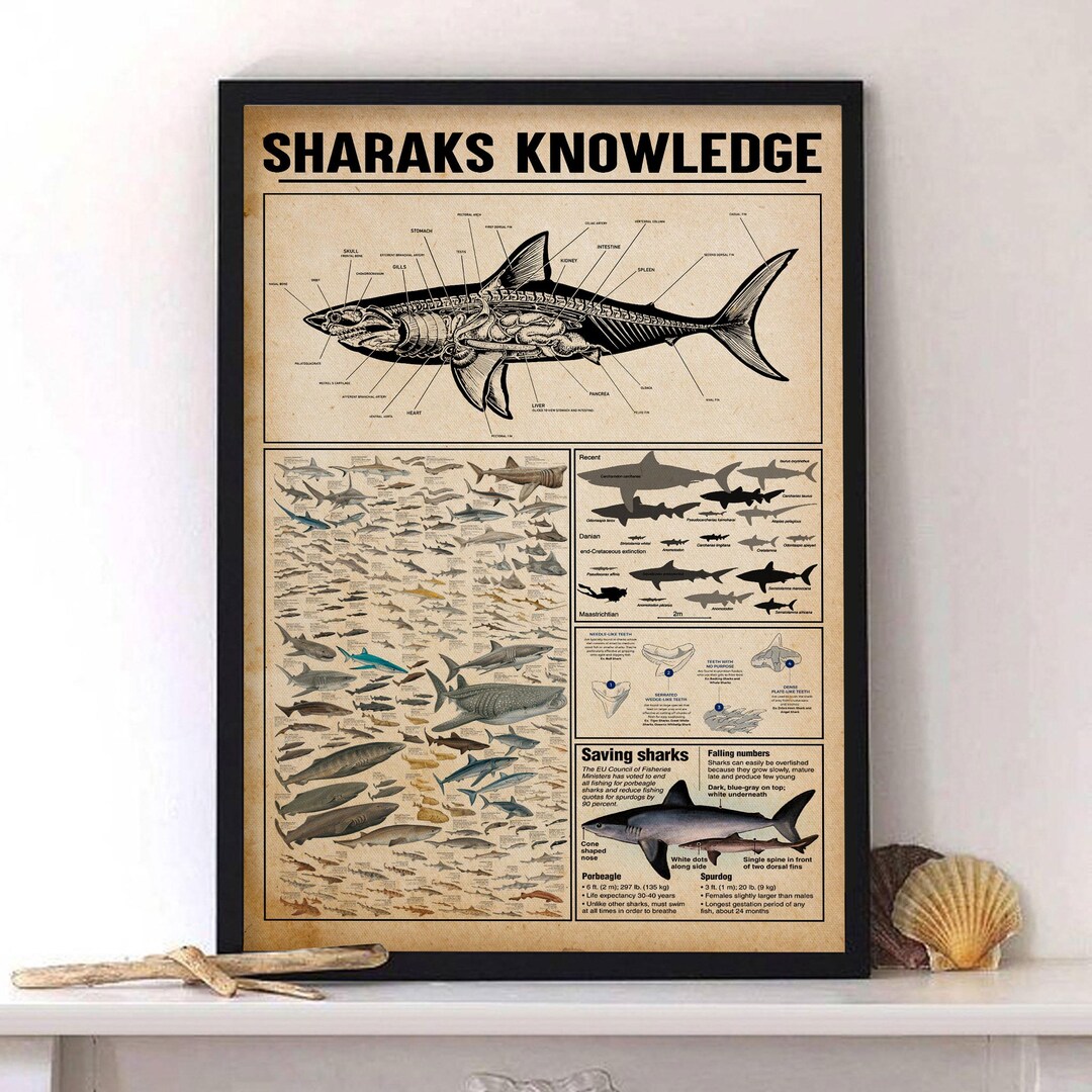 Vintage Shark Knowledge Poster: Educational Marine Biology Wall Art ...