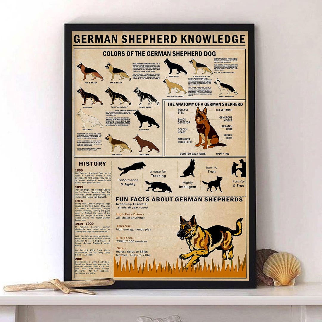 German Shepherd Breed Chart Poster: Vintage Style Dog Training & Care ...
