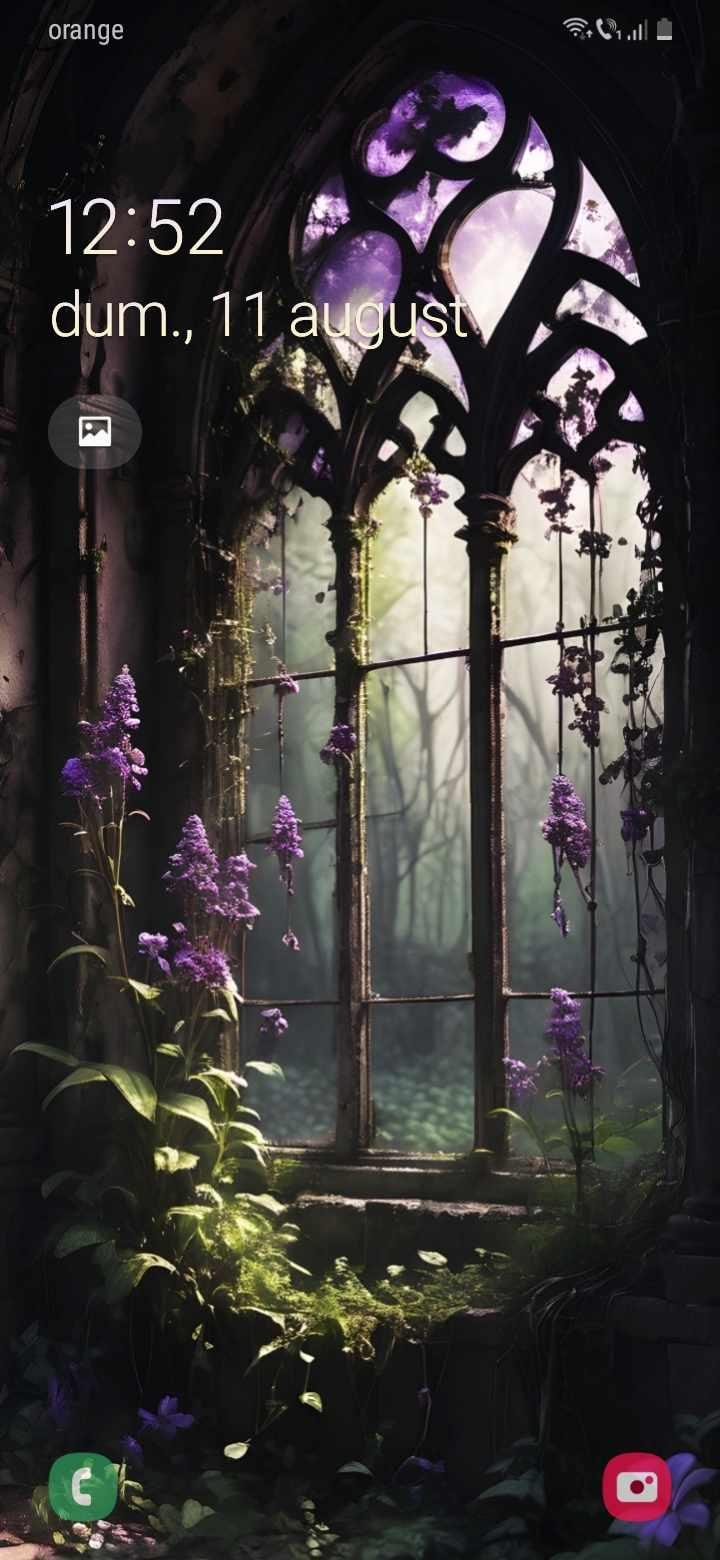 Gothic Phone Wallpapers Set – Romantic Ruins, Floral Dark Aesthetic ...