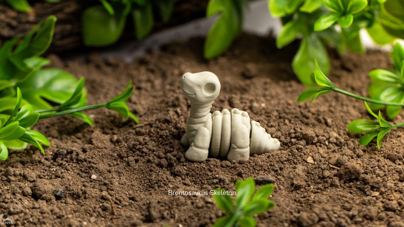 3D Printed Articulated Baby Brontosaurus Skeleton – Mini Dino Fossil ...