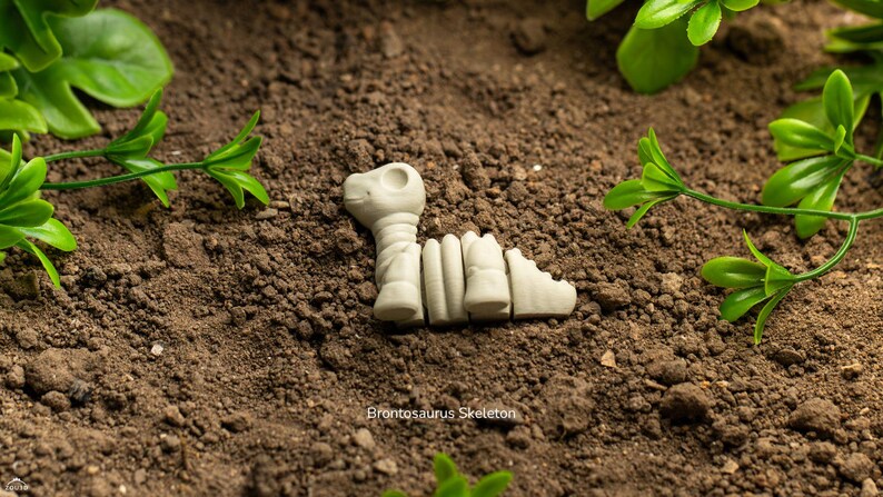 3D Printed Articulated Baby Brontosaurus Skeleton – Mini Dino Fossil ...