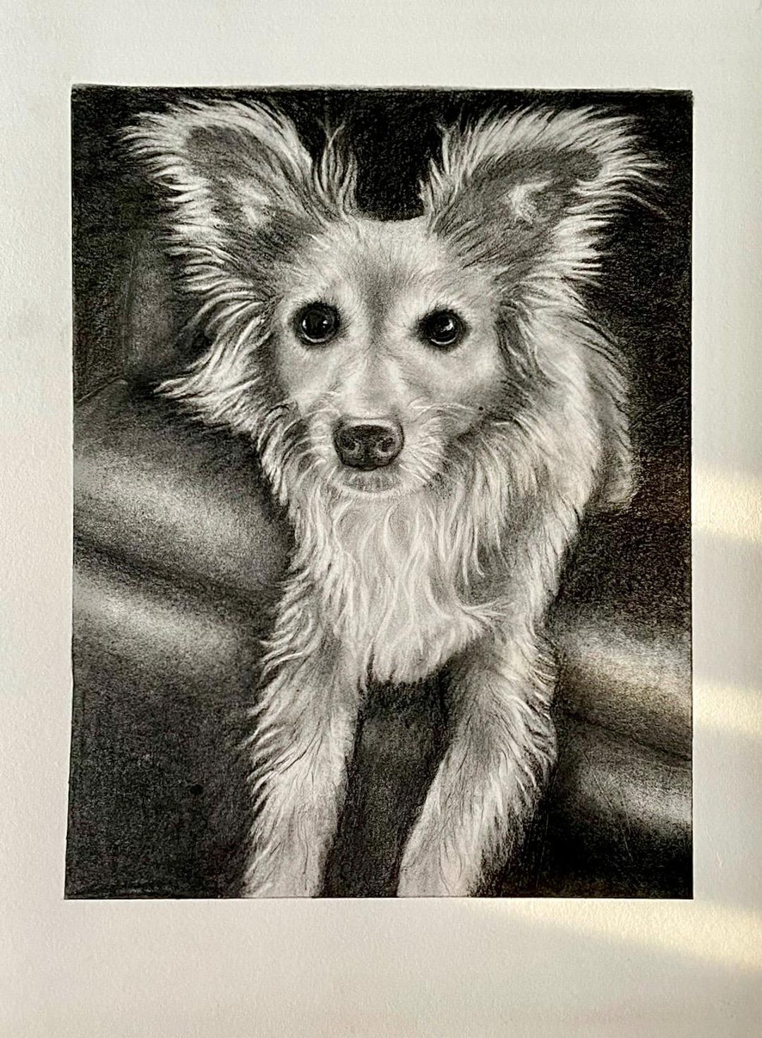 Custom Hand-drawn Charcoal Pet Portrait: Realistic Graphite Dog & Puppy ...