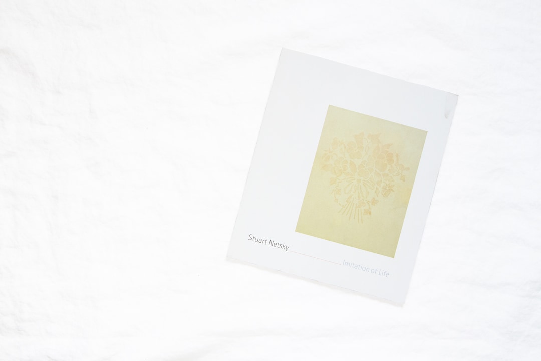 Stuart Netsky : Imitation of Life Book - Etsy