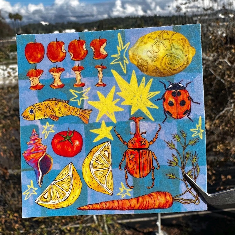 Bug Snack Sticker - Etsy New Zealand