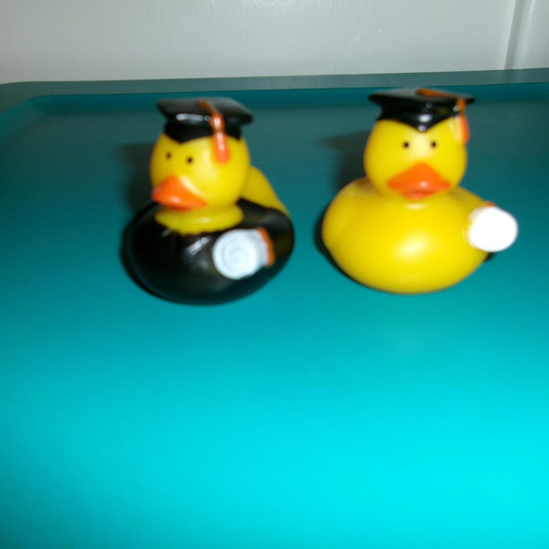 Graduation Rubber Ducks - Etsy