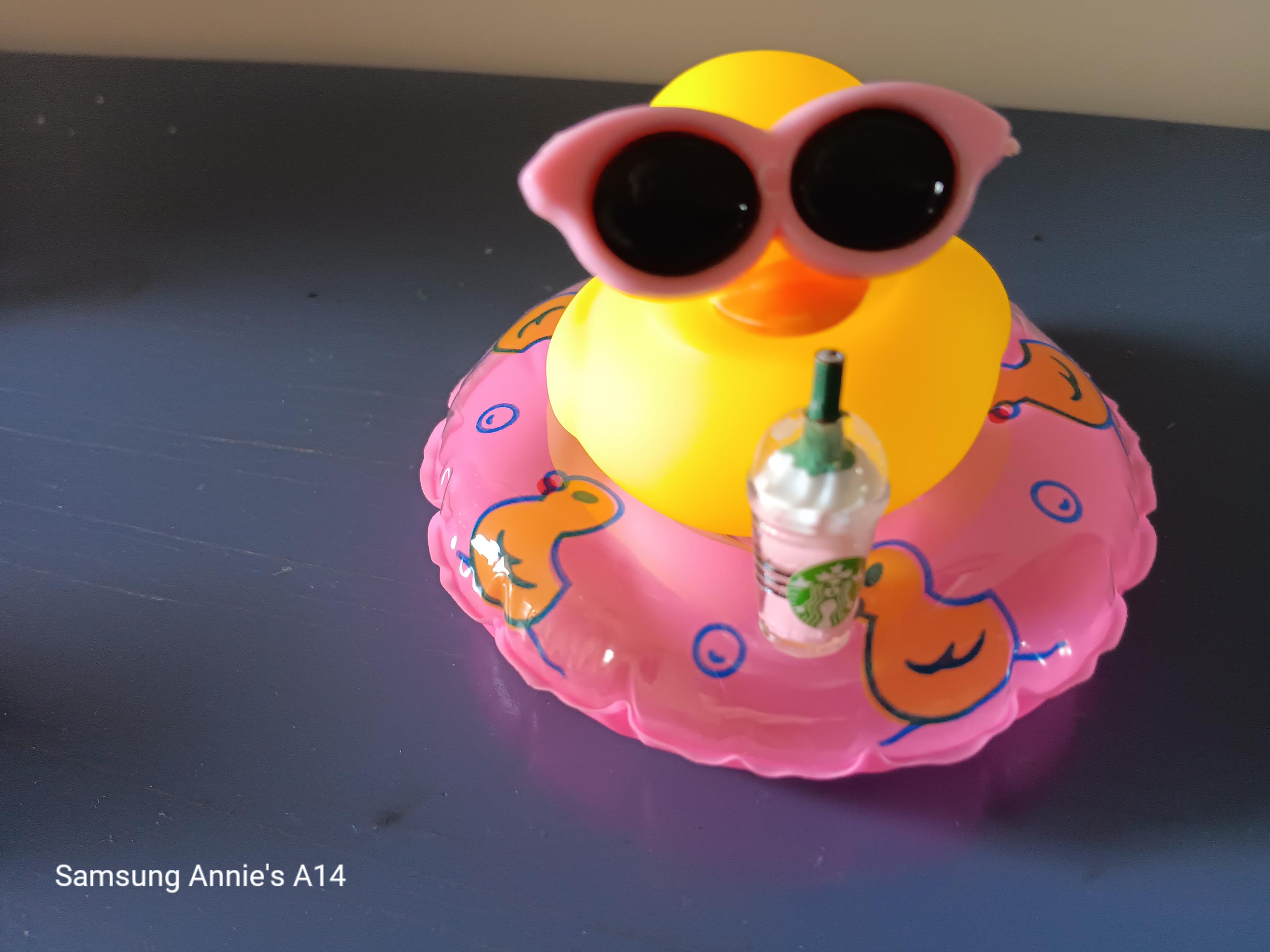 Rubber Ducky Pool Party Favor: Frappuccino Drink, Sunglasses, Floating ...