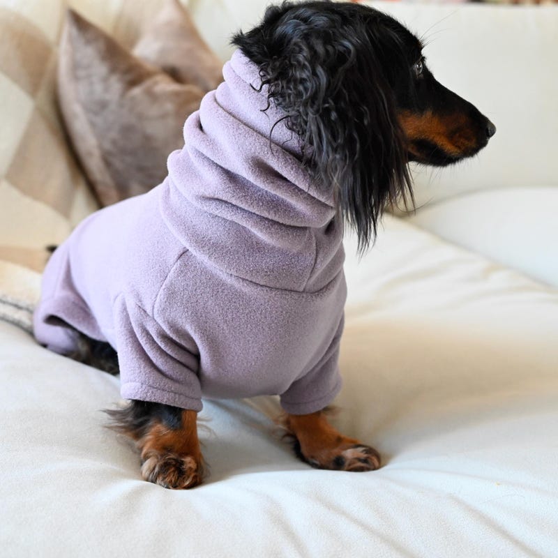 Wiener Dog Winter Jacket - Etsy