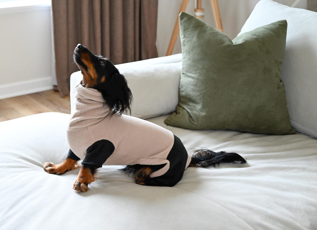 Full Body Dachshund Snood Pajamas | Beige & Black Color Block Design ...