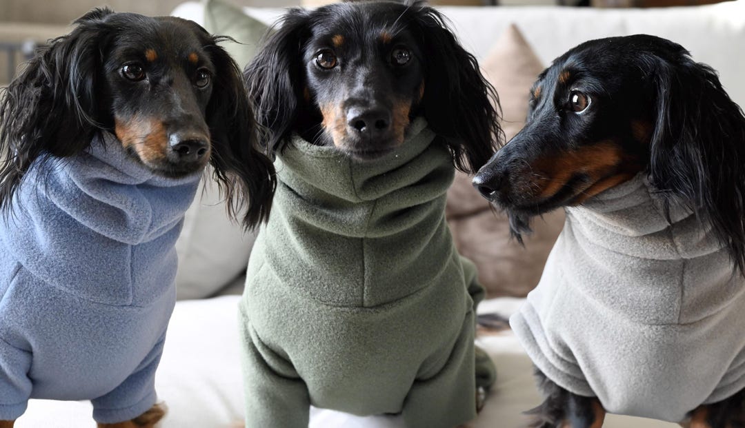 Dachshund Full Body Sweater • Luxury Fleece Pajamas • Snood - Etsy