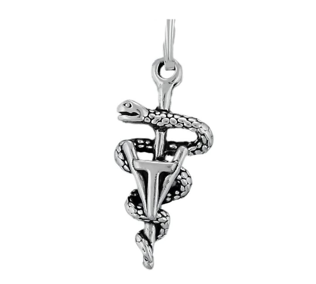 Vet Tech Veterinary Caduceus Charm Sterling Silver Pendant Animal Pet ...