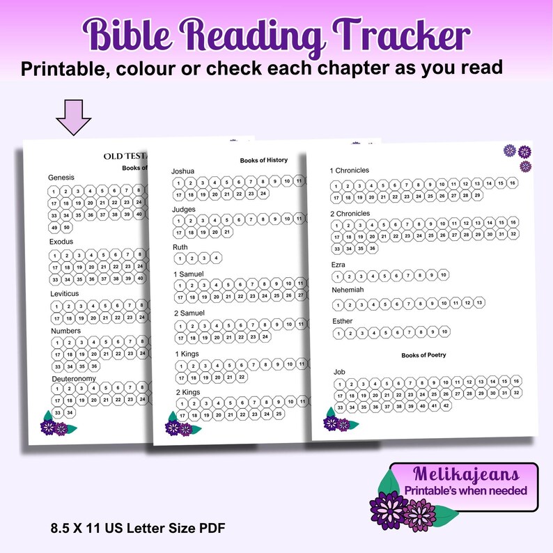 Printable Bible Reading Tracker: Color-in Bookshelf, Bonus Plan (PDF ...