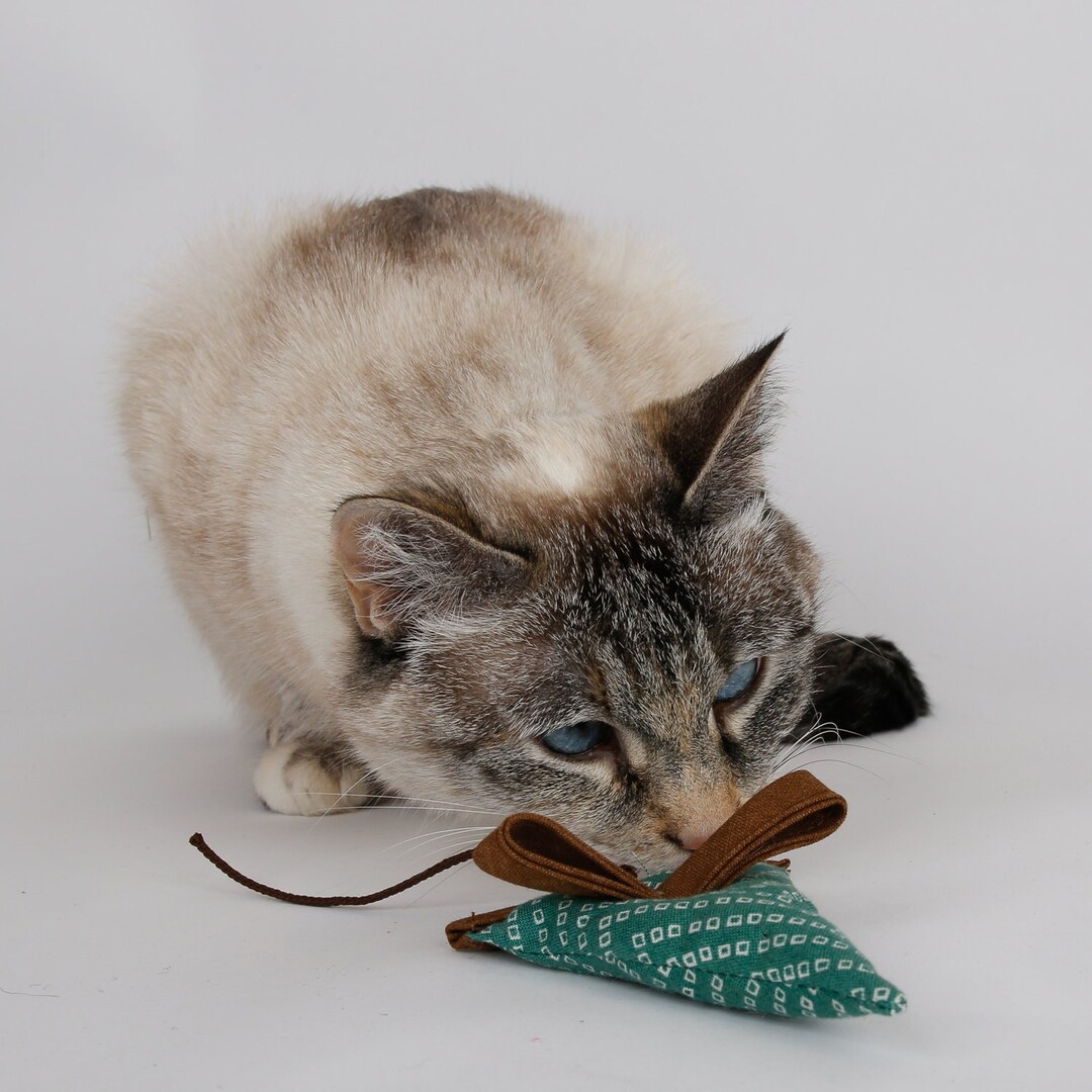 Mouse Shaped Catnip Cat Toy in Assorted Colors - Etsy