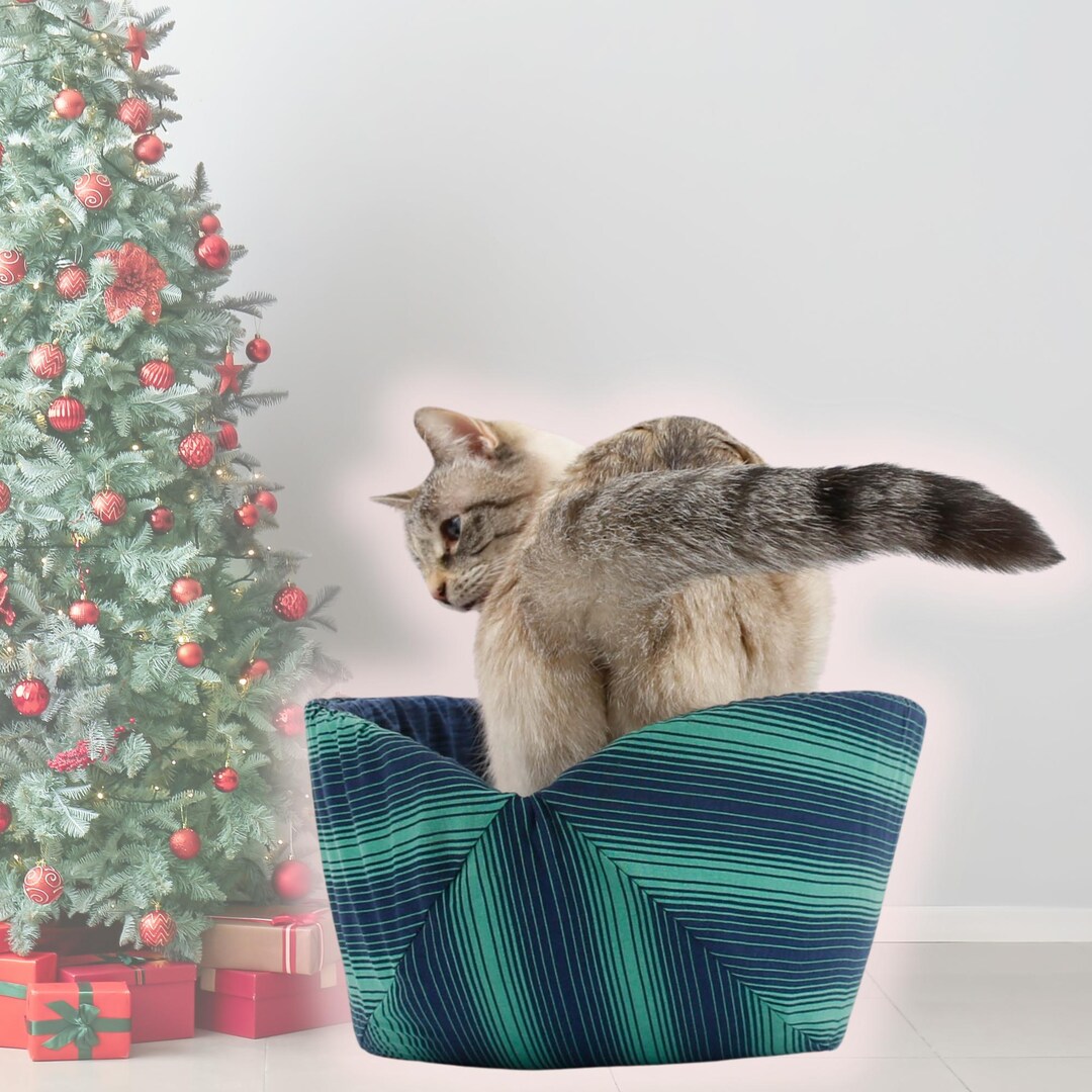 Taco Shaped Pet Bed the Cat Canoe in Blue and Green Stripes - Etsy