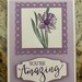 You’re Amazing Cards, Set of 4, Stampin' Up!, Daffodil Deaydream ...