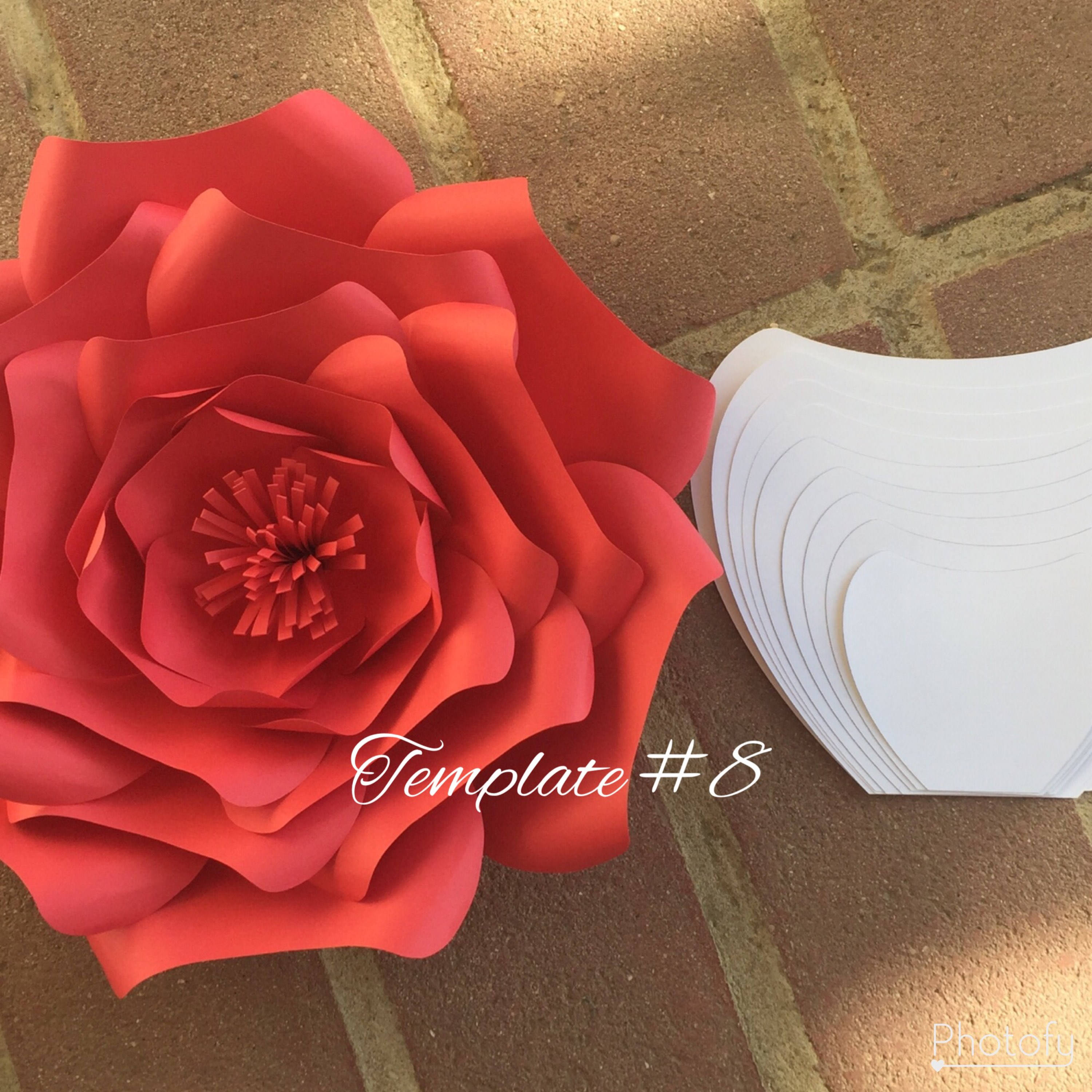 DIY Paper Flower Template 8 Hard Copy Paper Flower Backdrop | Etsy
