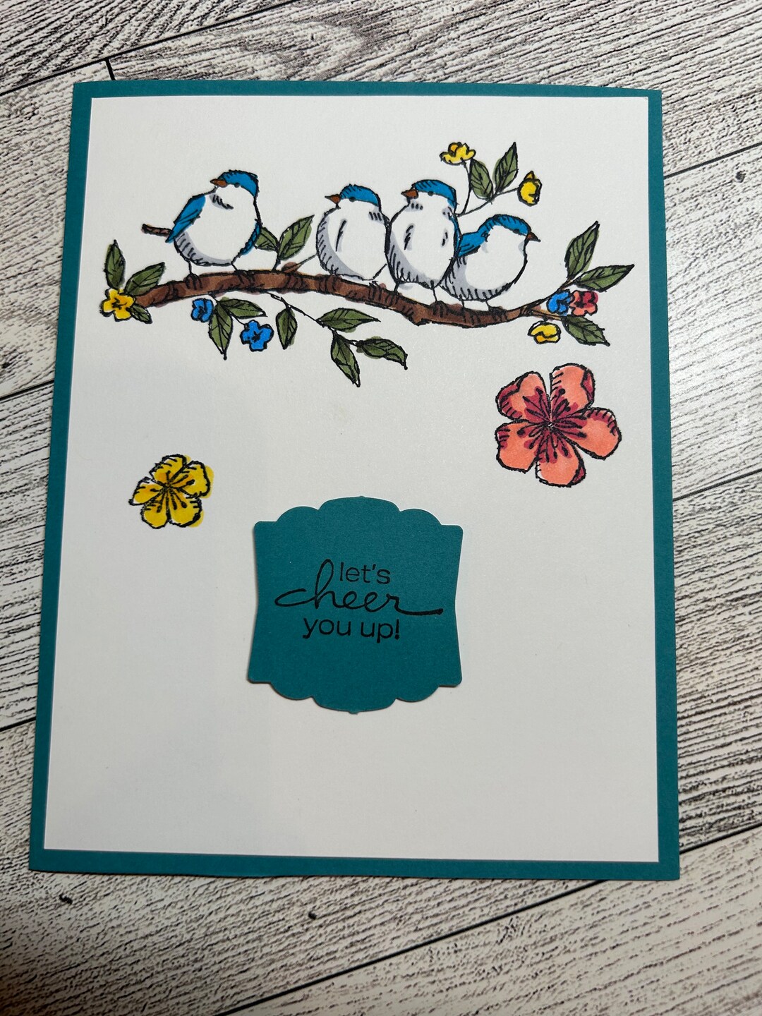 Any Occasion Cards, Set of 4, Stampin' Up!, Free as a Bird Copic ...