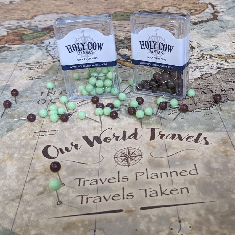Push Pin Travel Map of World Customized Map Framed One Panel - Etsy