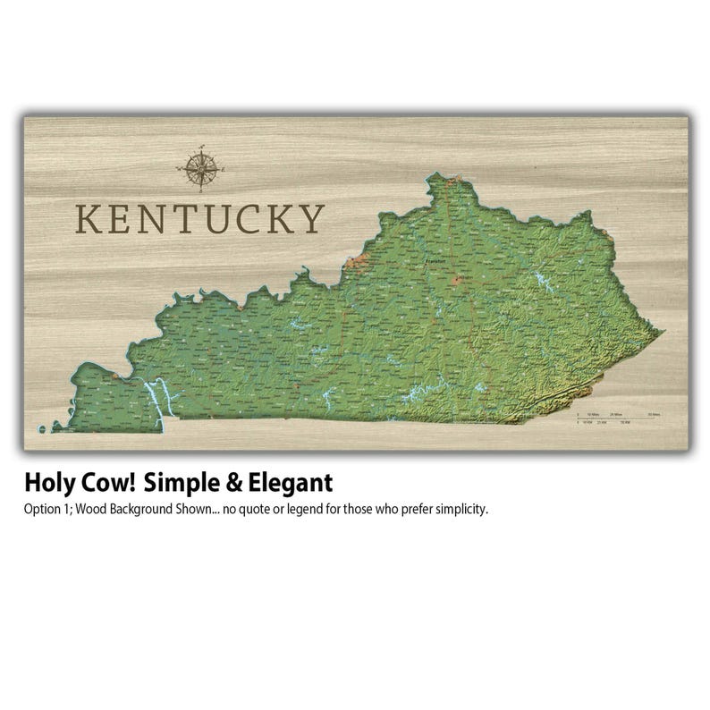 Kentucky Push Pin Map, Personalized Kentucky State Map for Office ...