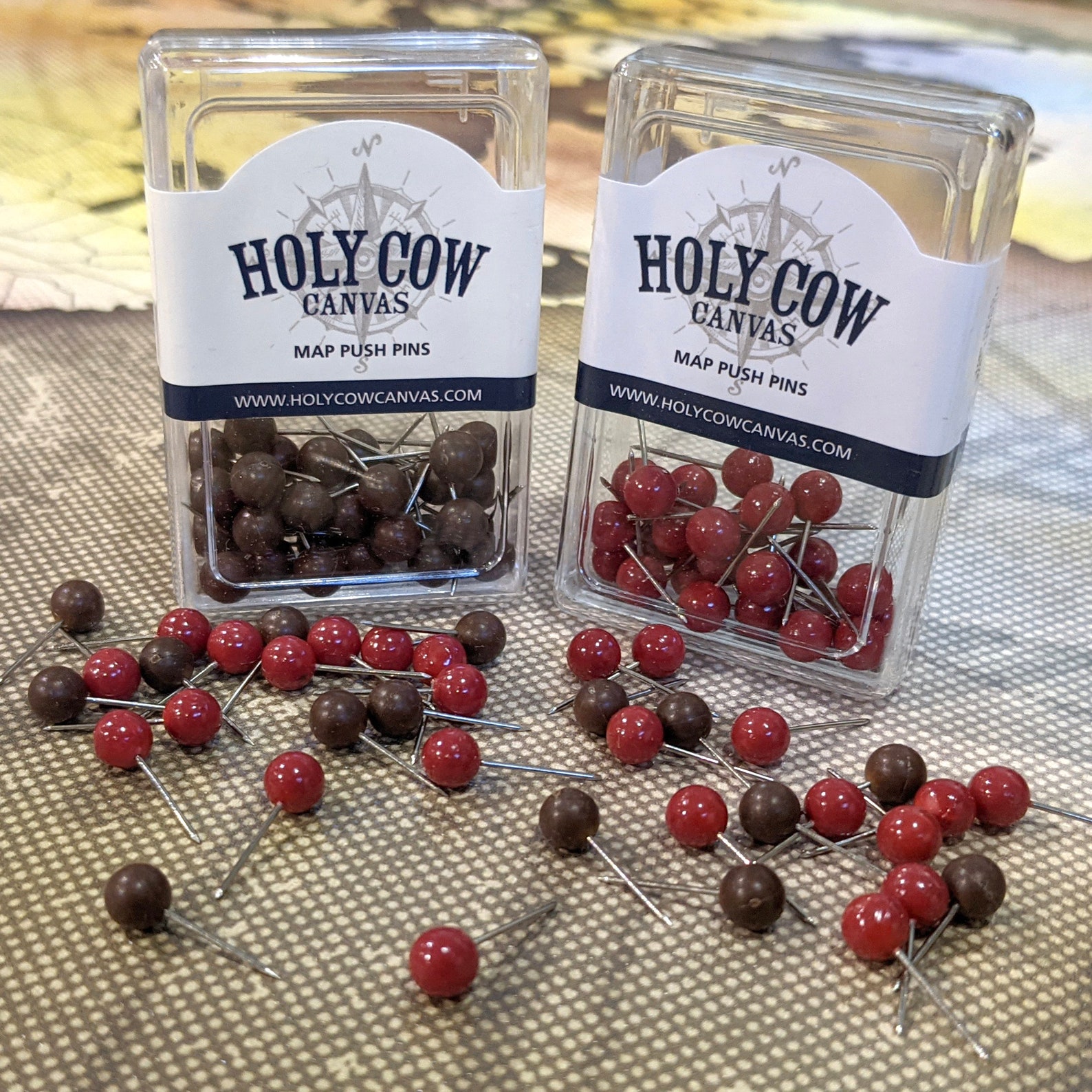 Detailed Collaged Push Pin Travel Map Single Panel Push Pin | Etsy