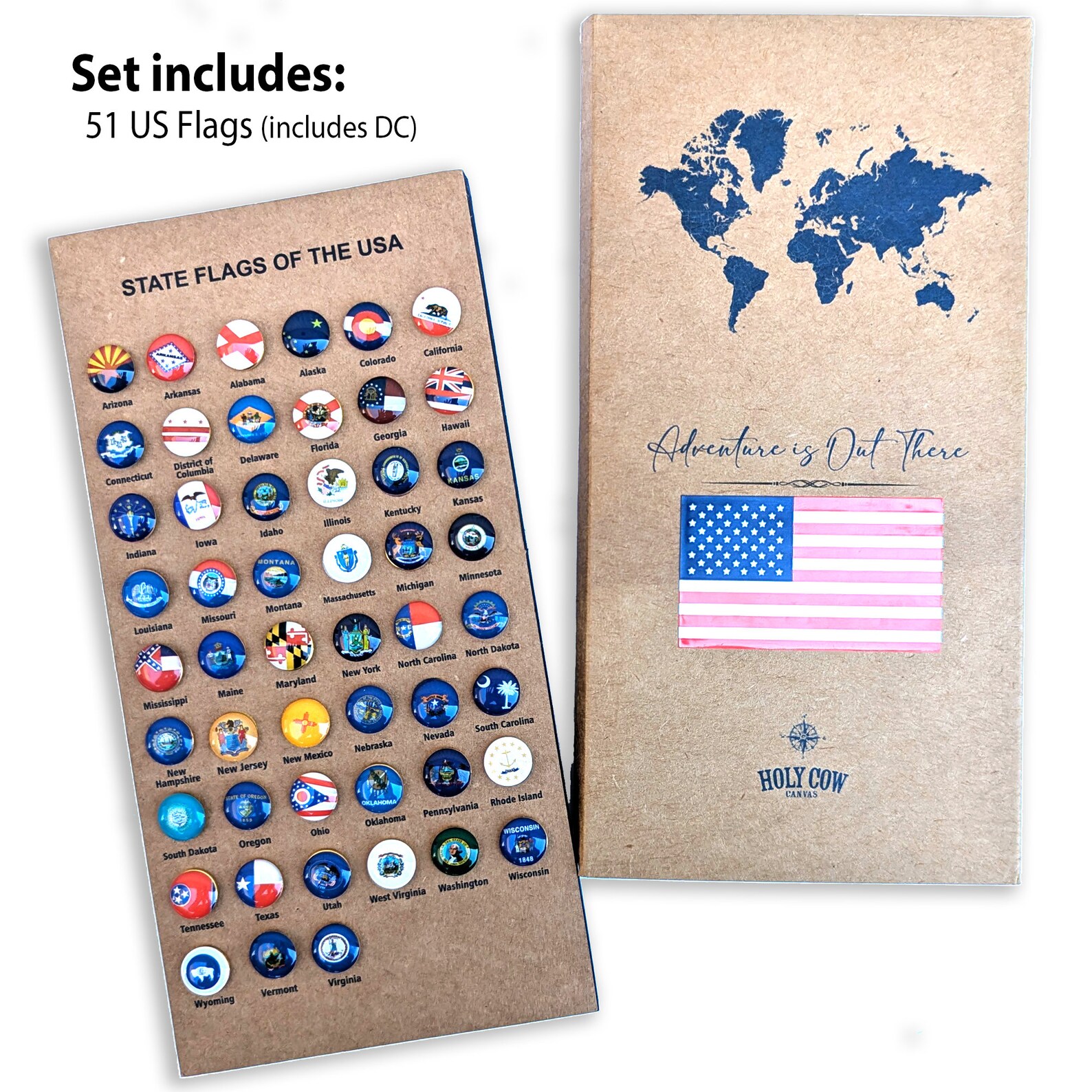 Flags of the United States Push Pins; Set of 51 Metal Pins, Track Your ...