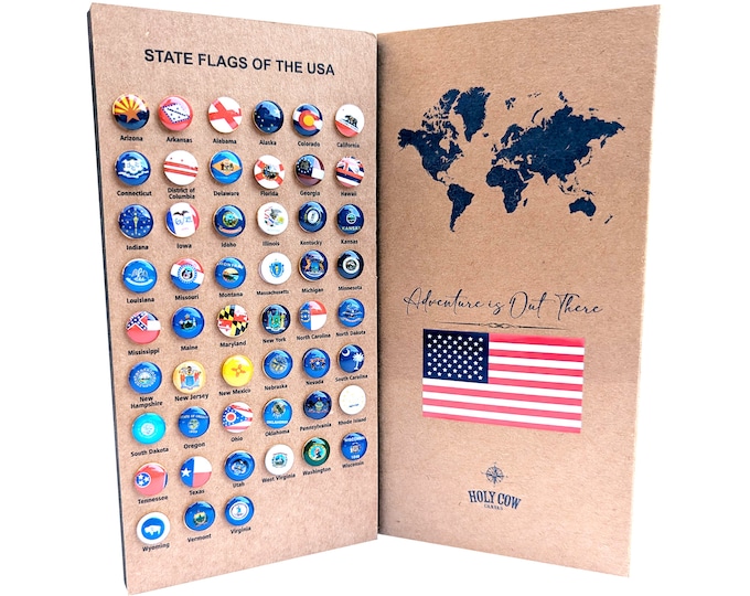 USA States Flags Push Pins - Etsy