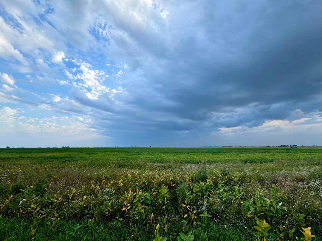 Prairie Landscape, Digital Download Photo Print - Nature Photography ...