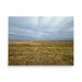 Autumn Prairie, Digital Download Photo Print, Scenic Northern Plains ...