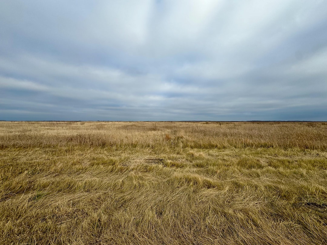 Autumn Prairie, Digital Download Photo Print, Scenic Northern Plains ...