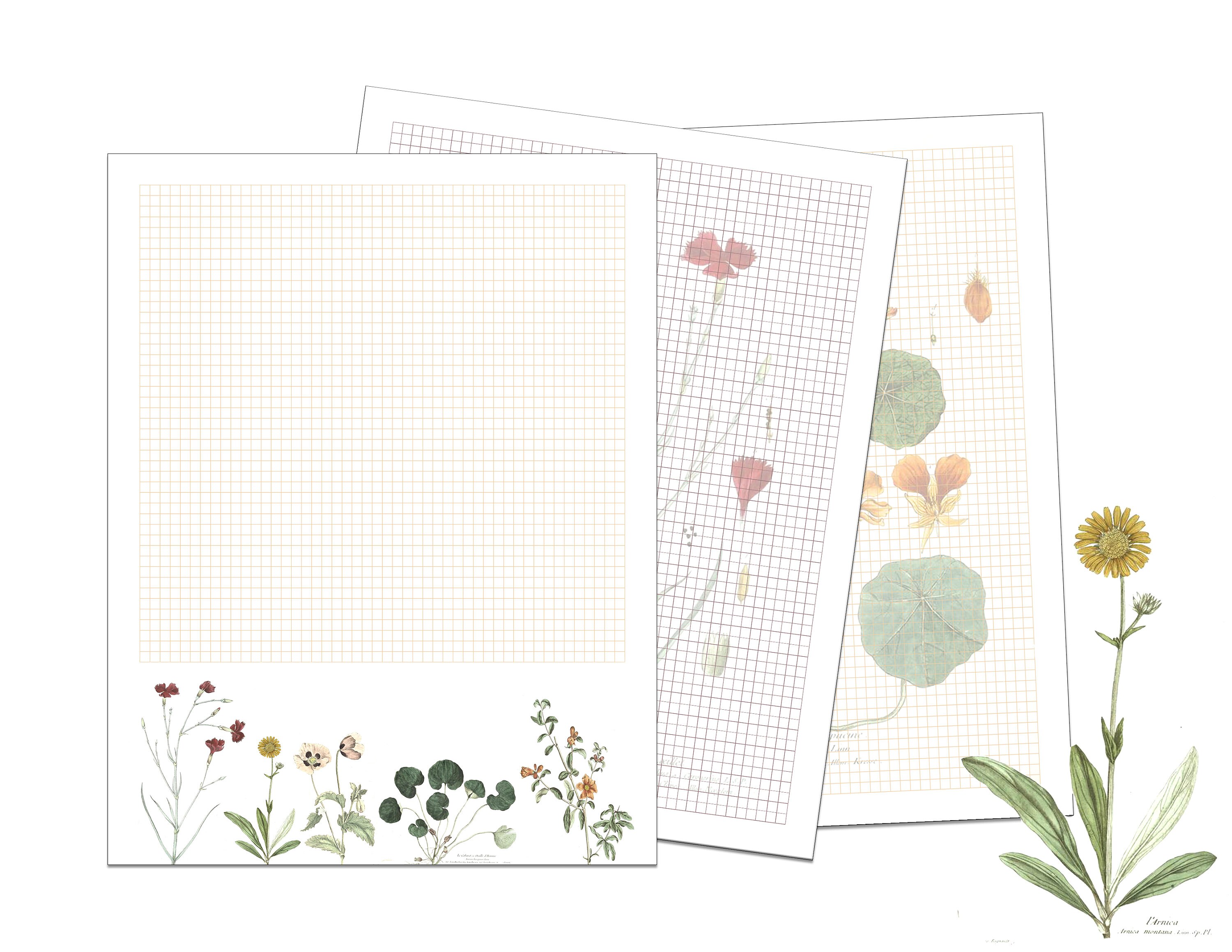 Lined Paper Background Tumblr