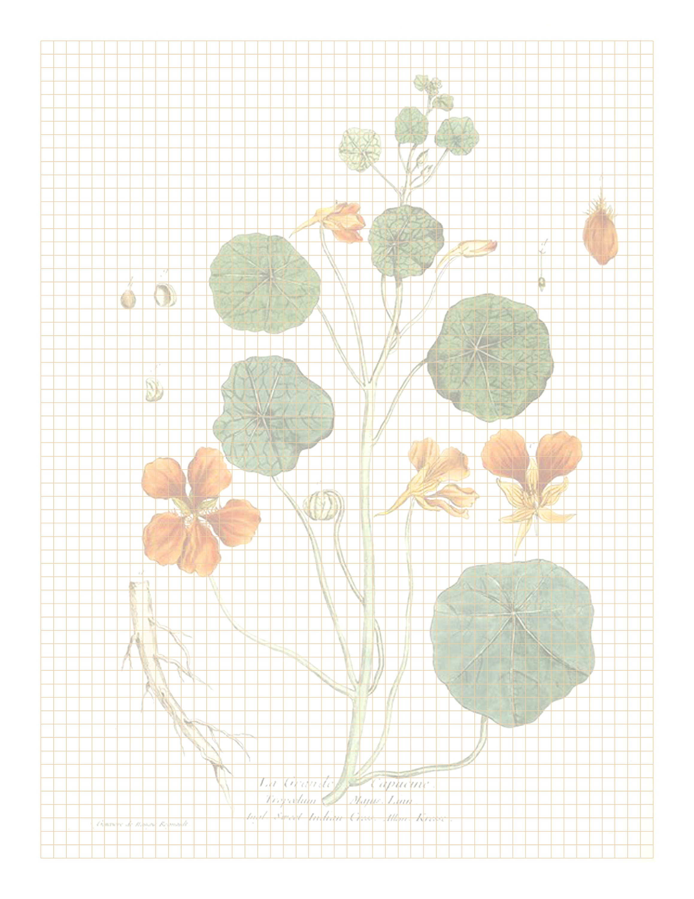 Vintage Flower Graph Paper Printable PDF Grid Paper - Etsy UK