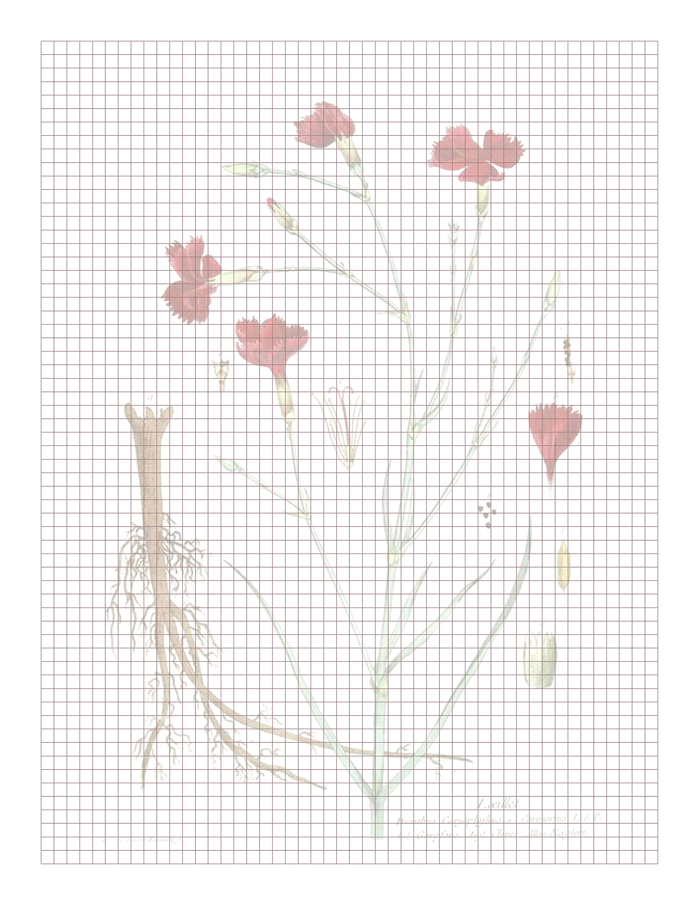 Vintage Flower Graph Paper Printable PDF Grid Paper - Etsy UK