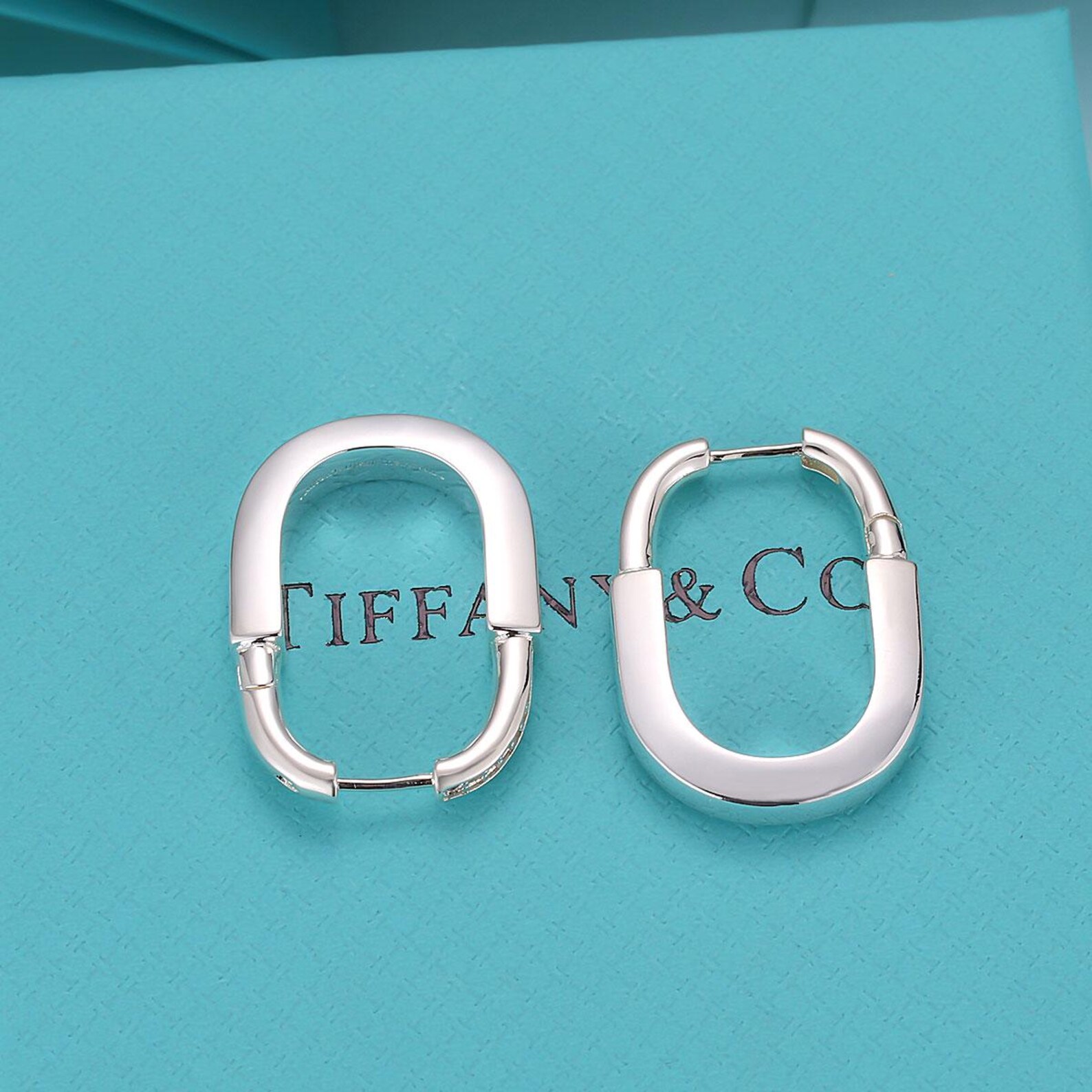 Tiffany 18K Gold, Rose Gold, U-shaped Lock Earrings, Luxury Earrings ...