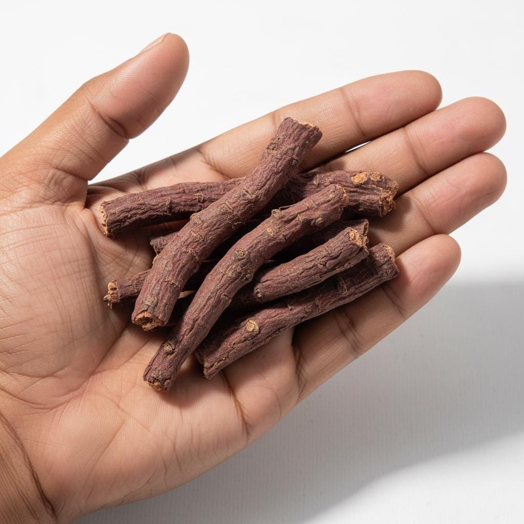 Organic Alkanet Root Dried Natural Ratanjot Root | Alkanna Tinctoria ...