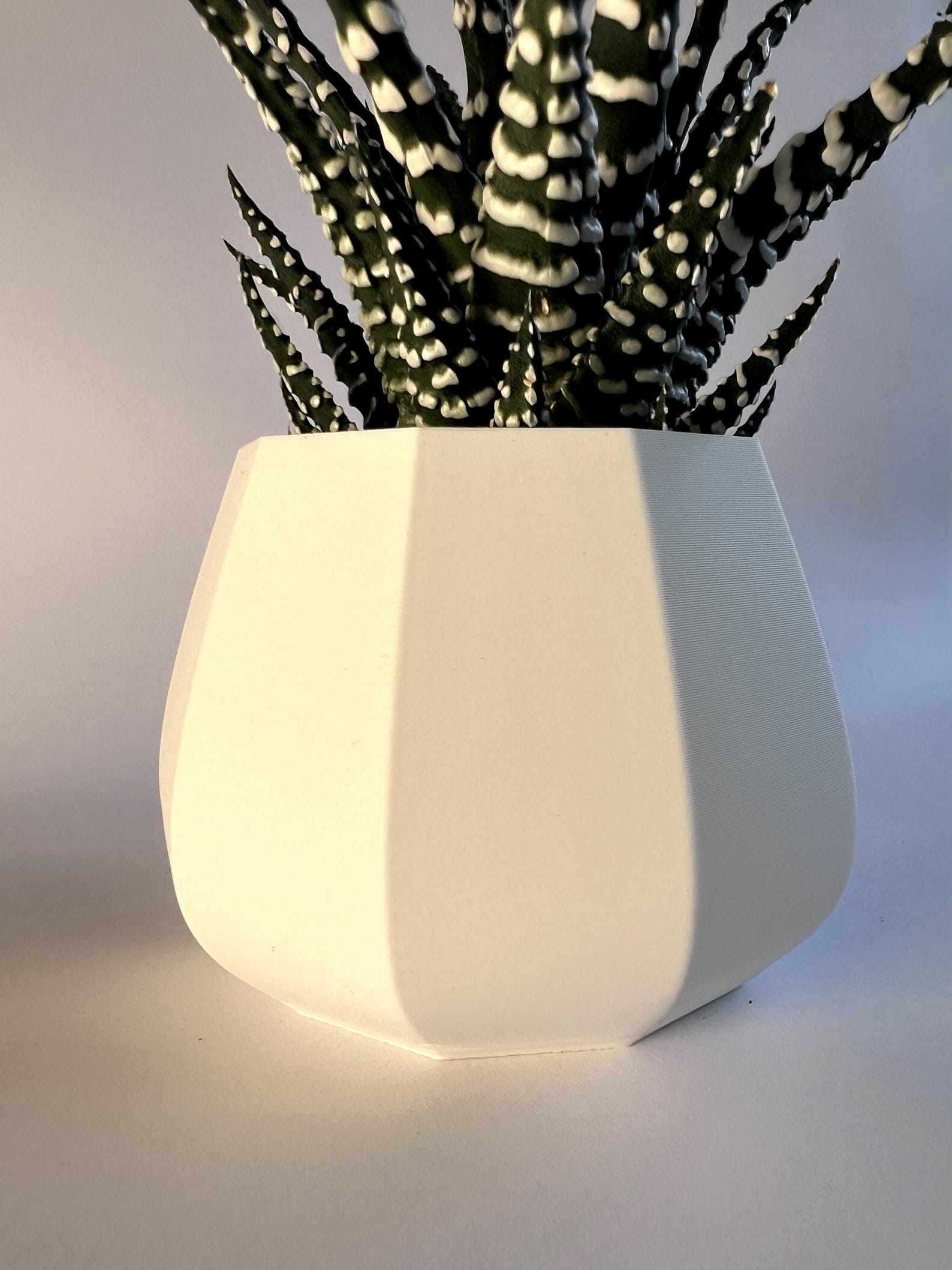 3D Printed Mini Planter: Modern Polygon Plant Pot - Eco-friendly PLA - Etsy